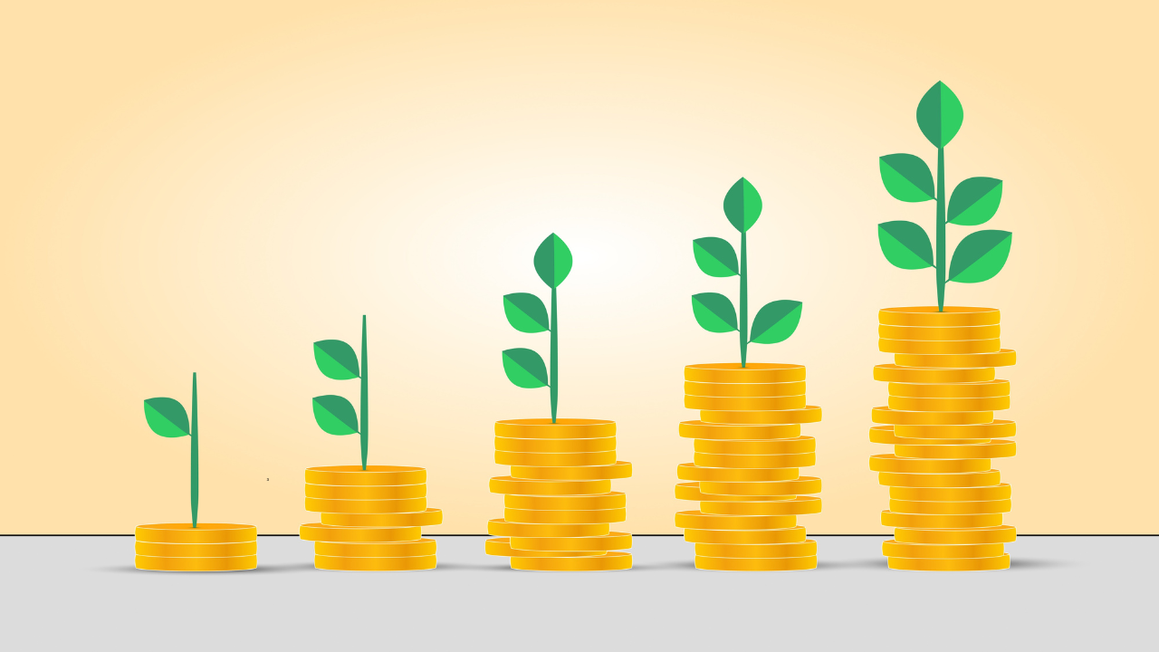 Wahed Investing Review (2026 Guide)